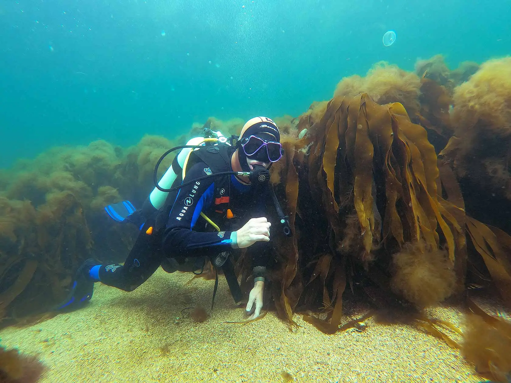 First Scuba Experience Ireland | Introductory Scuba Diving
